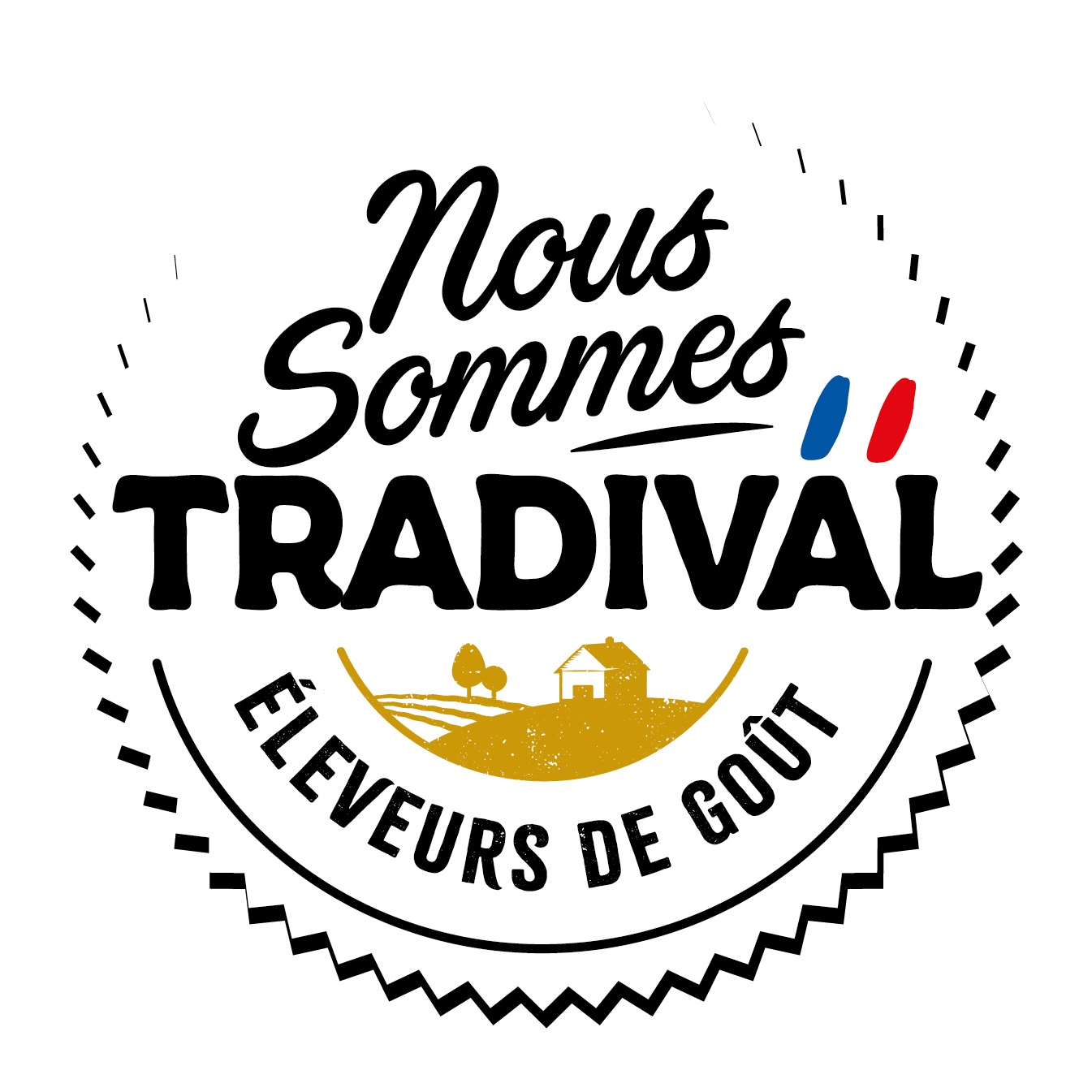 Gonzague - Directeur Commercial Produits Élaborés chez Tradival ...